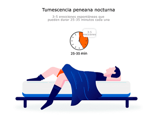 ¿Qué es la erección matutina? Todo lo que los hombres deben saber ...
